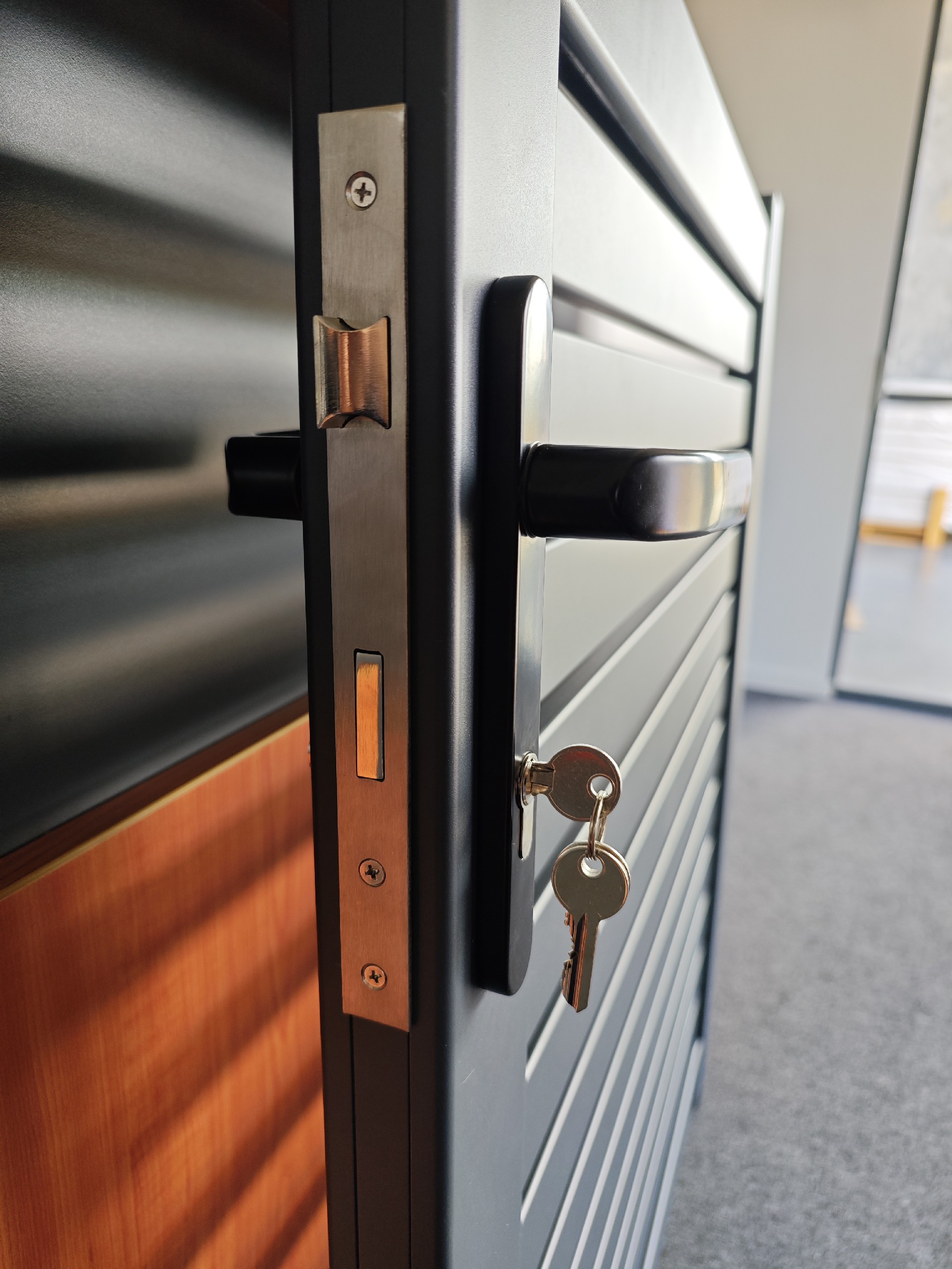 Aluminum Slat Gate-Pedestrian Gate-ACMG-Experts In Residential ...